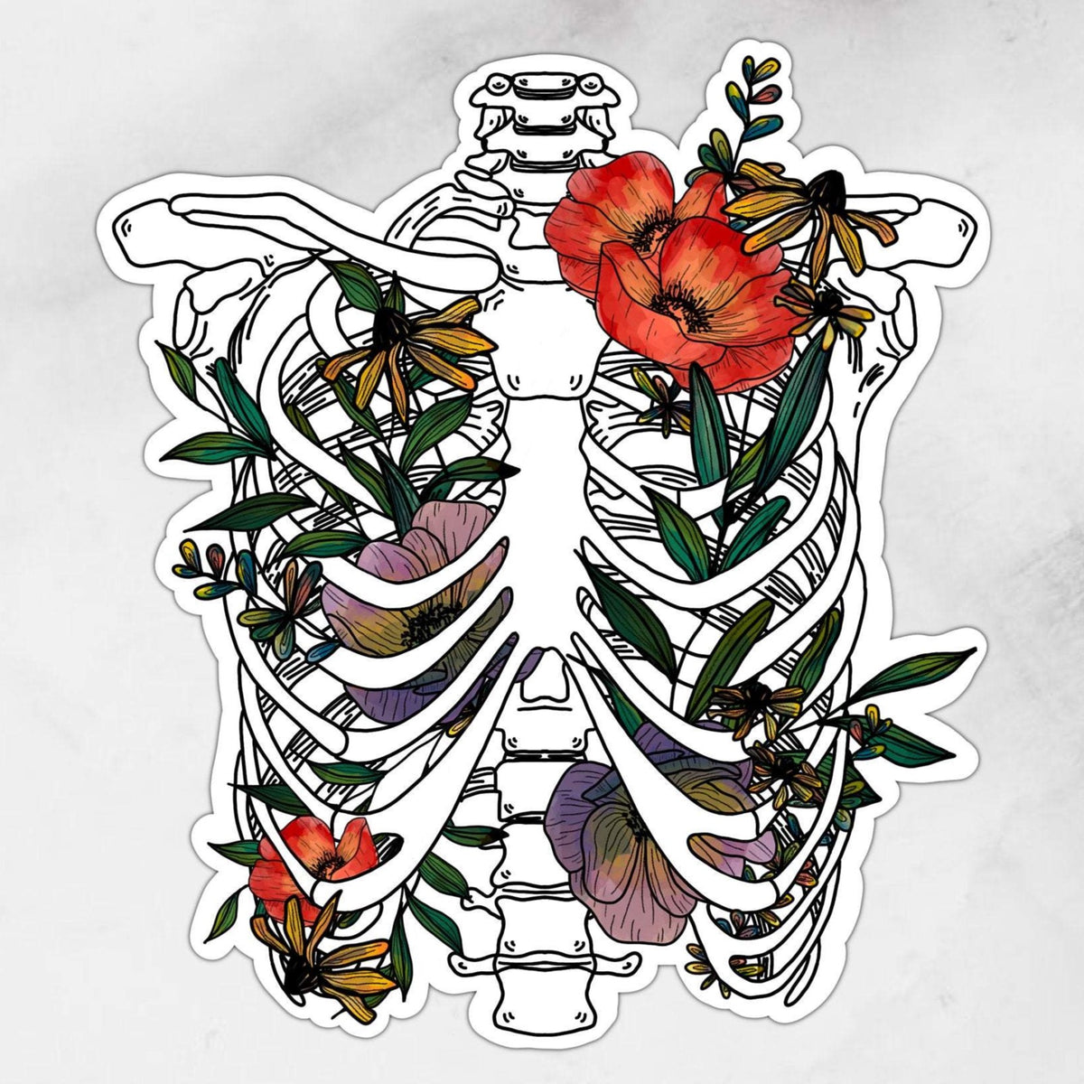 Ribs | Sticker – Megan G Design